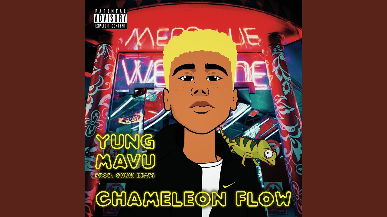 Chameleon Flow - YouTube