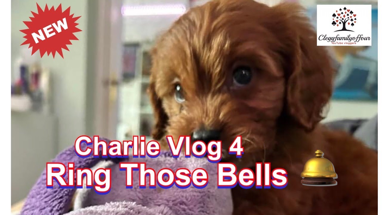 CHARLIE VLOG 4 - RING THOSE BELLS - YouTube