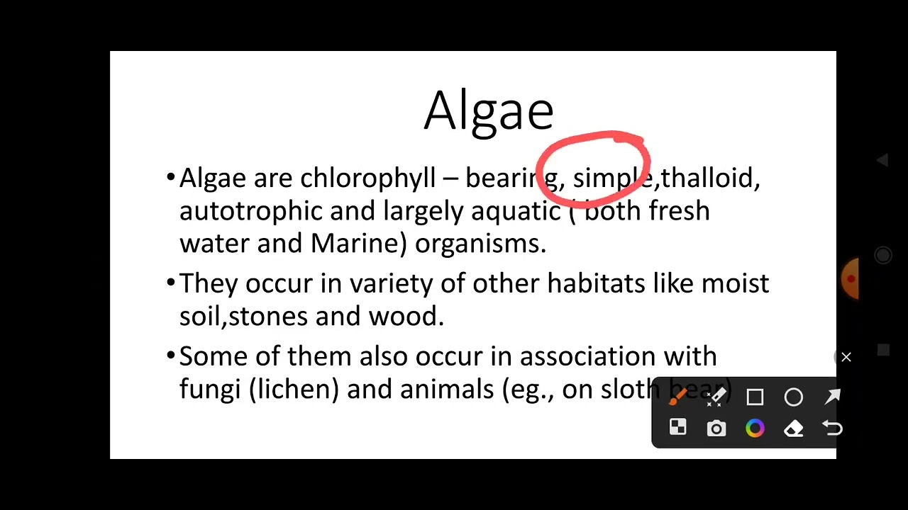 class 11 ch3.plant Kingdom (introductory part)@biowith-princy #biology ...