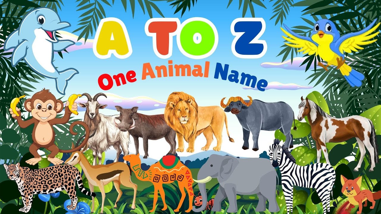 A to Z Animal Names II Discover the Alphabet of Animals: A-Z Adventure ...