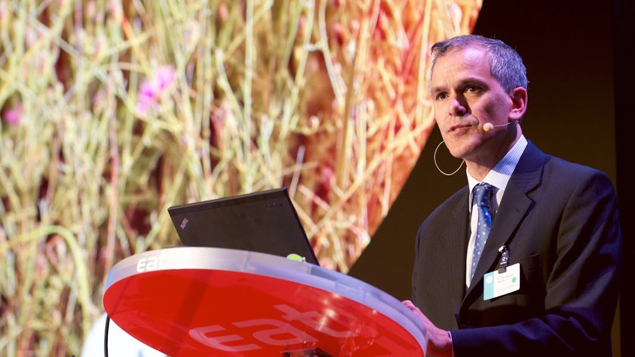 Professor Christopher J L Murray - YouTube