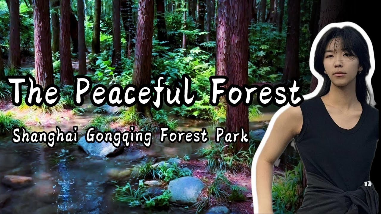 探索避暑森林秘境-上海共青森林公园 The Peaceful Forest- Shanghai Gongqing Forest Park ...