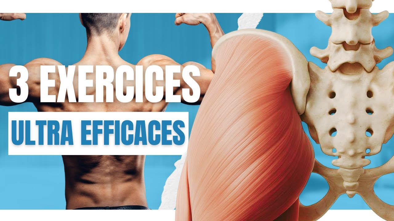 Douleur au BAS DU DOS ? Renforce tes FESSIERS ! (3 exercices Ultra ...