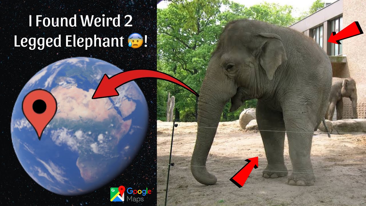 I Found Strange 2 Legged Elephant in Real Life On Google Earth and ...