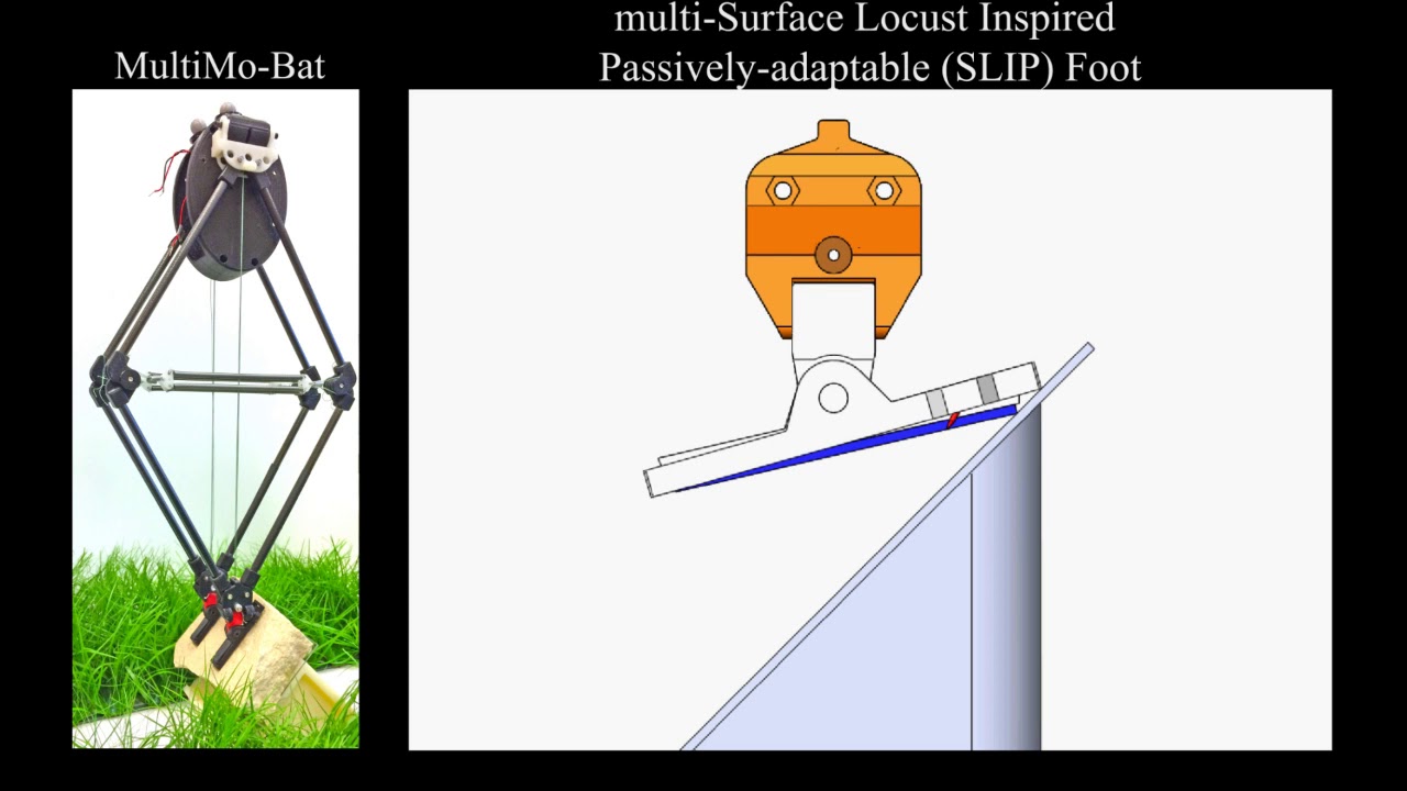 Robotic Foot: multi-Surface Locust Inspired Passively-adaptable (SLIP ...