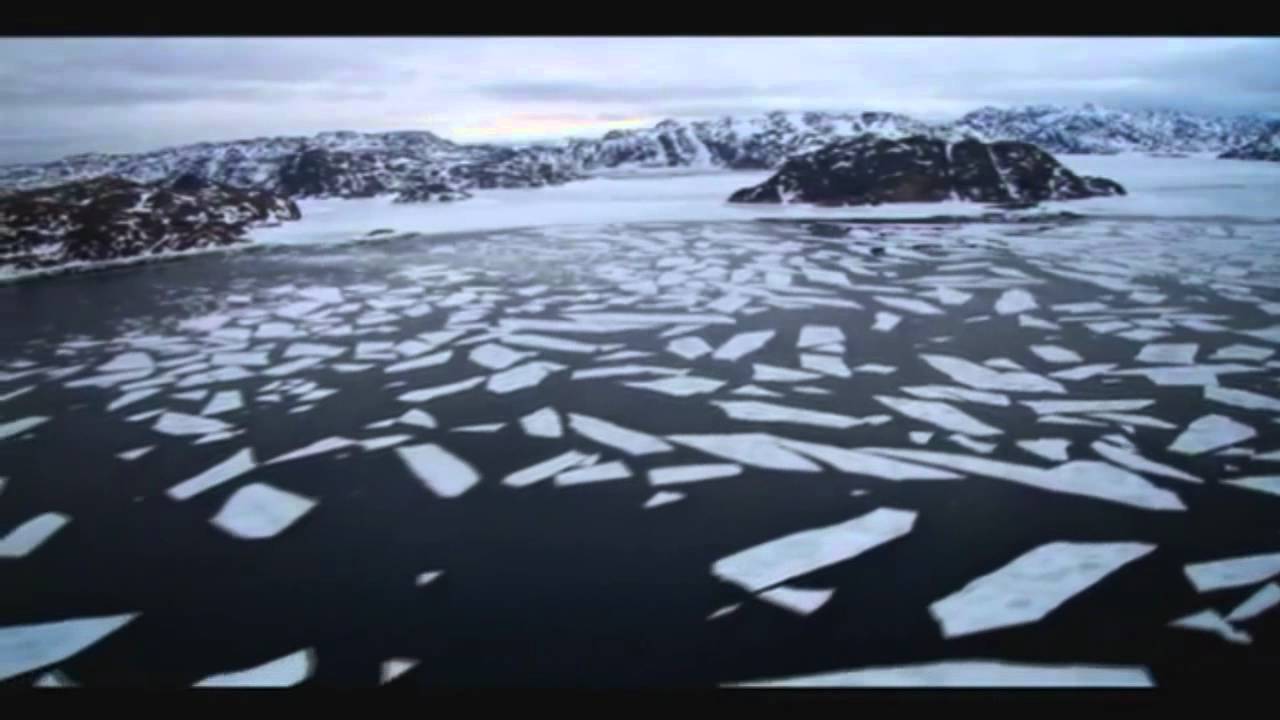 Save The Arctic - YouTube