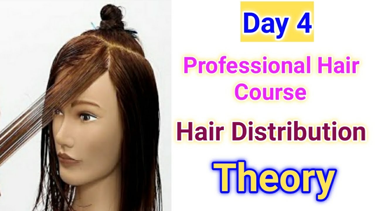 Hair Terminology and Methodology Hair Distribution Theory. Skin Care ...