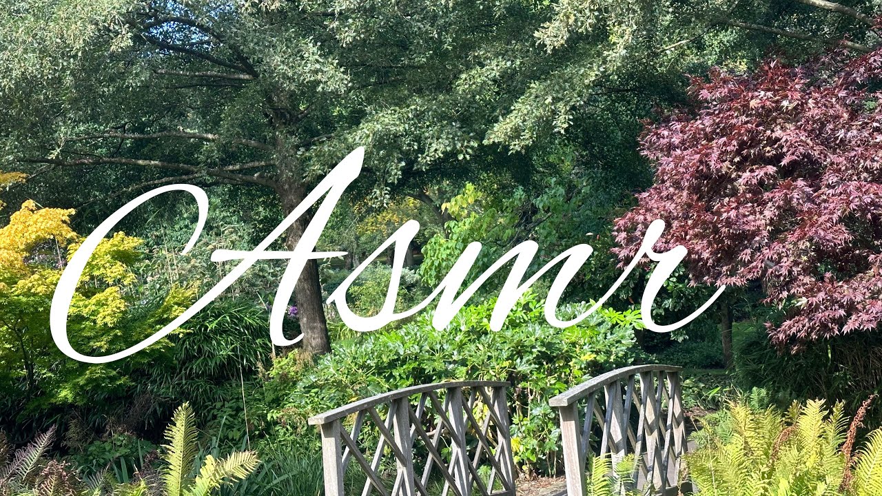 Asmr | asmr sounds | relaxing calming asmr - YouTube