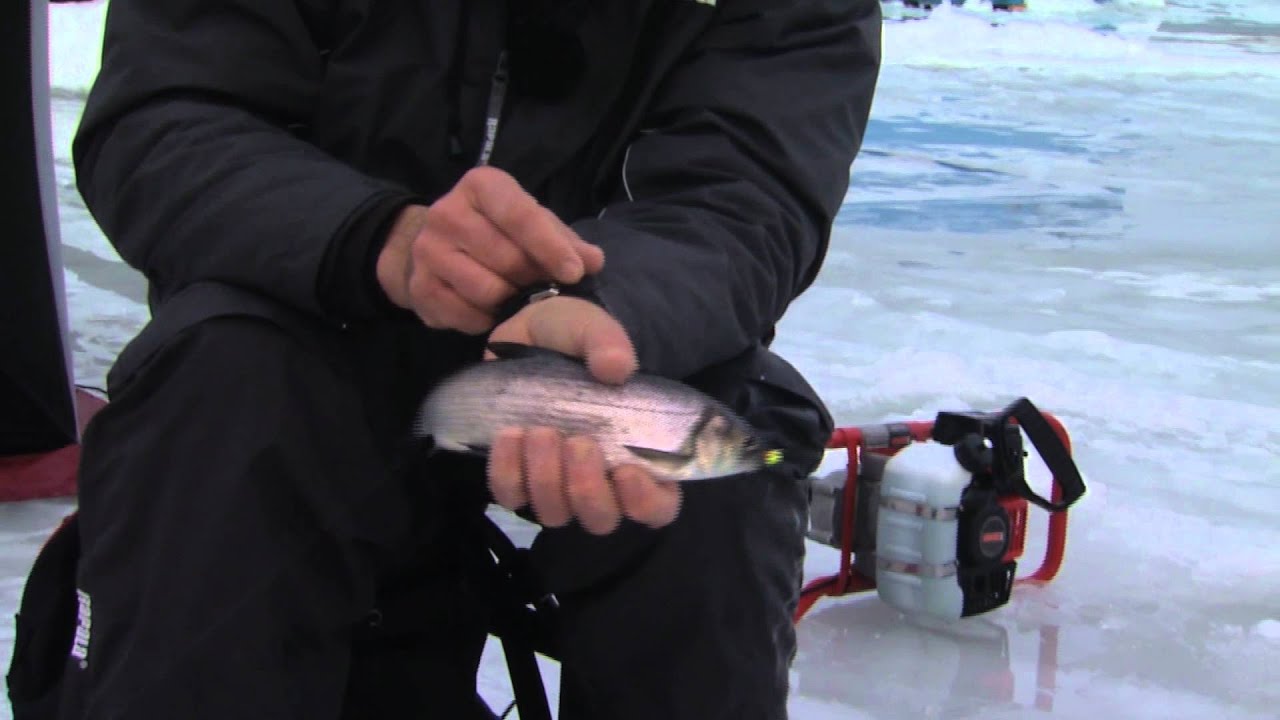 Ice Fishing for Lake herring, Minden Ontario part 2 of 4 - YouTube