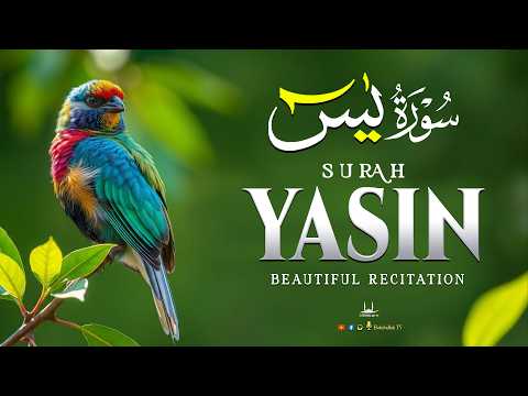 One of the Most Beautiful Voices in the World سورة يس Recitation that soothes the heart💚Surah Yaseen