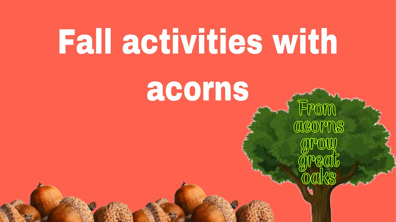Fall Activities Using Acorns For Toddlers And Preschoolers - YouTube