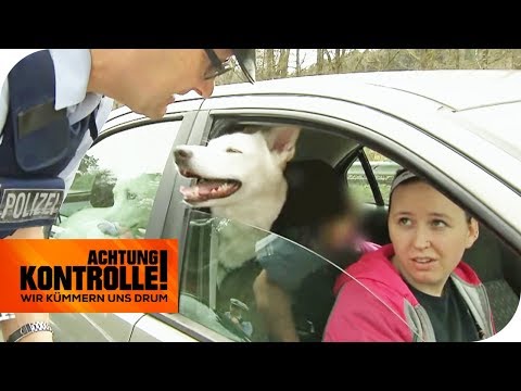 Ignorante Hundebesitzerin: Keine Einsicht bei Polizeikontrolle! | Achtung Kontrolle | kabel eins