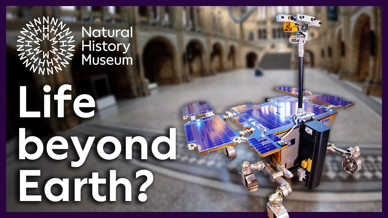 A sneak peek at our new exhibition, Space: Could Life Exist Beyond Earth? - YouTube