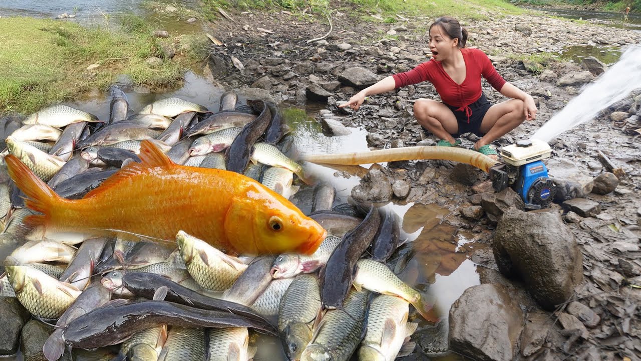 Fishing Techniques - Using pumps, pumping water outside the natural ...