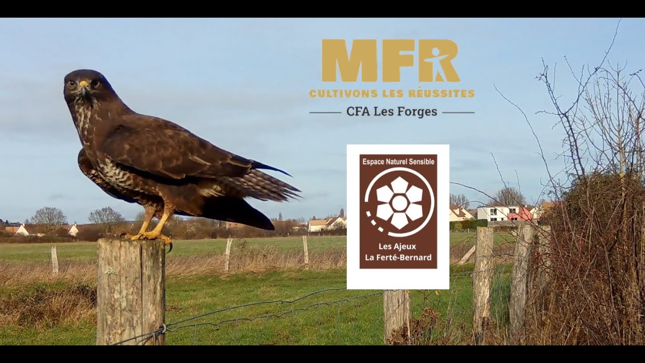 piège photo animalier des Ajeux (la Ferté Bernard) MFR CFA Les Forges ...