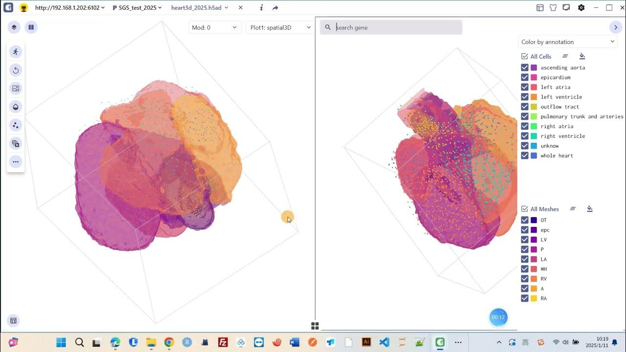 (5) 3D Spatially Resolved Transcriptomics Data Visualization - YouTube