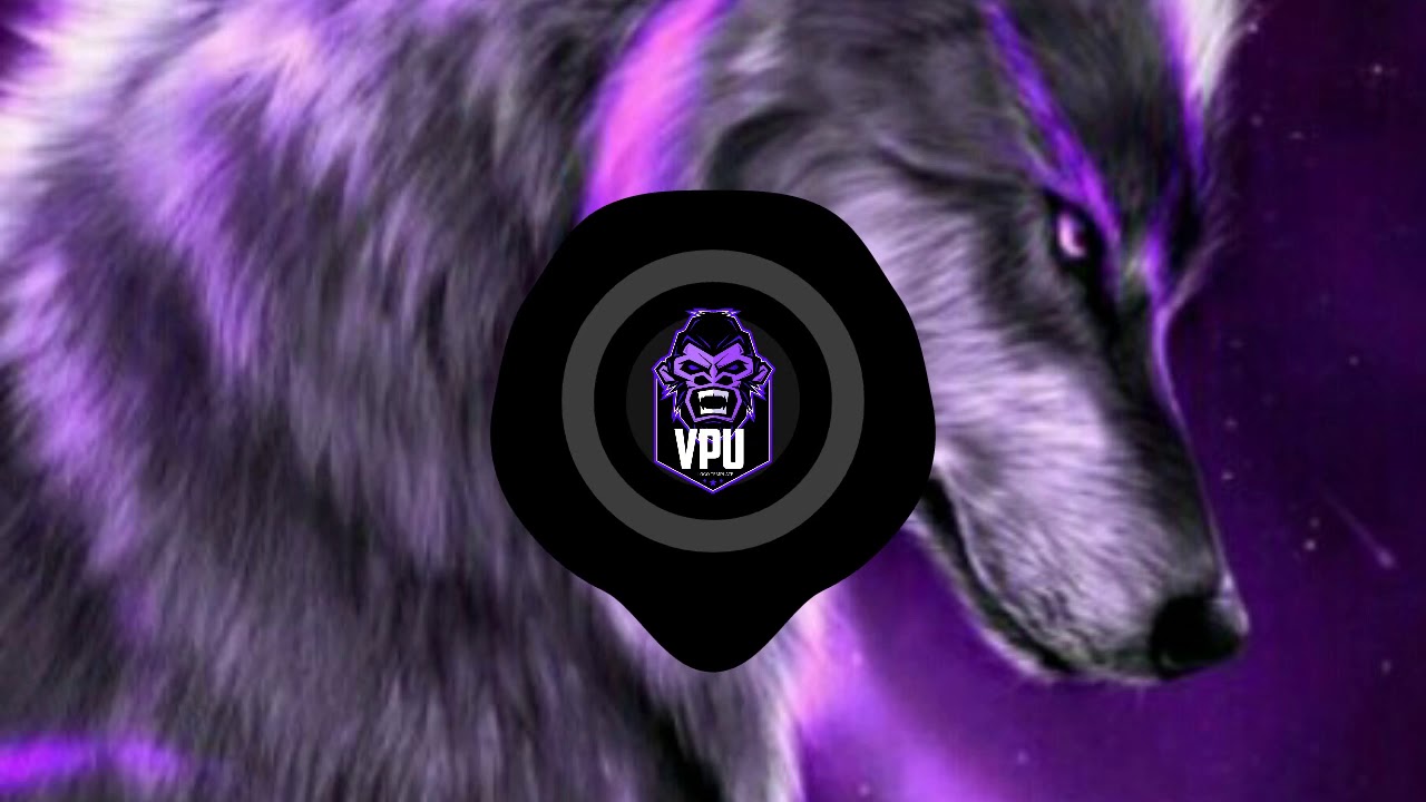 The wolf 300 - YouTube