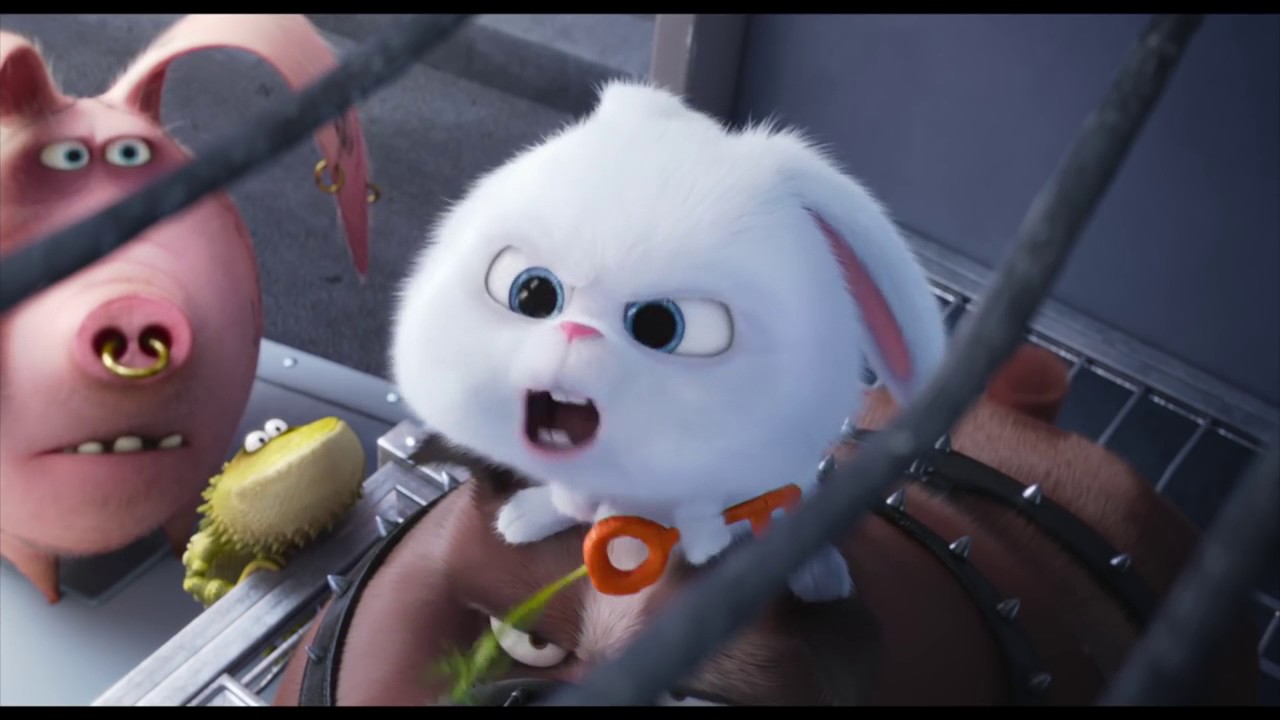 The Secret Life Of Pets (2016): The Flushed Pets (1/5) | MovieTimeTV ...