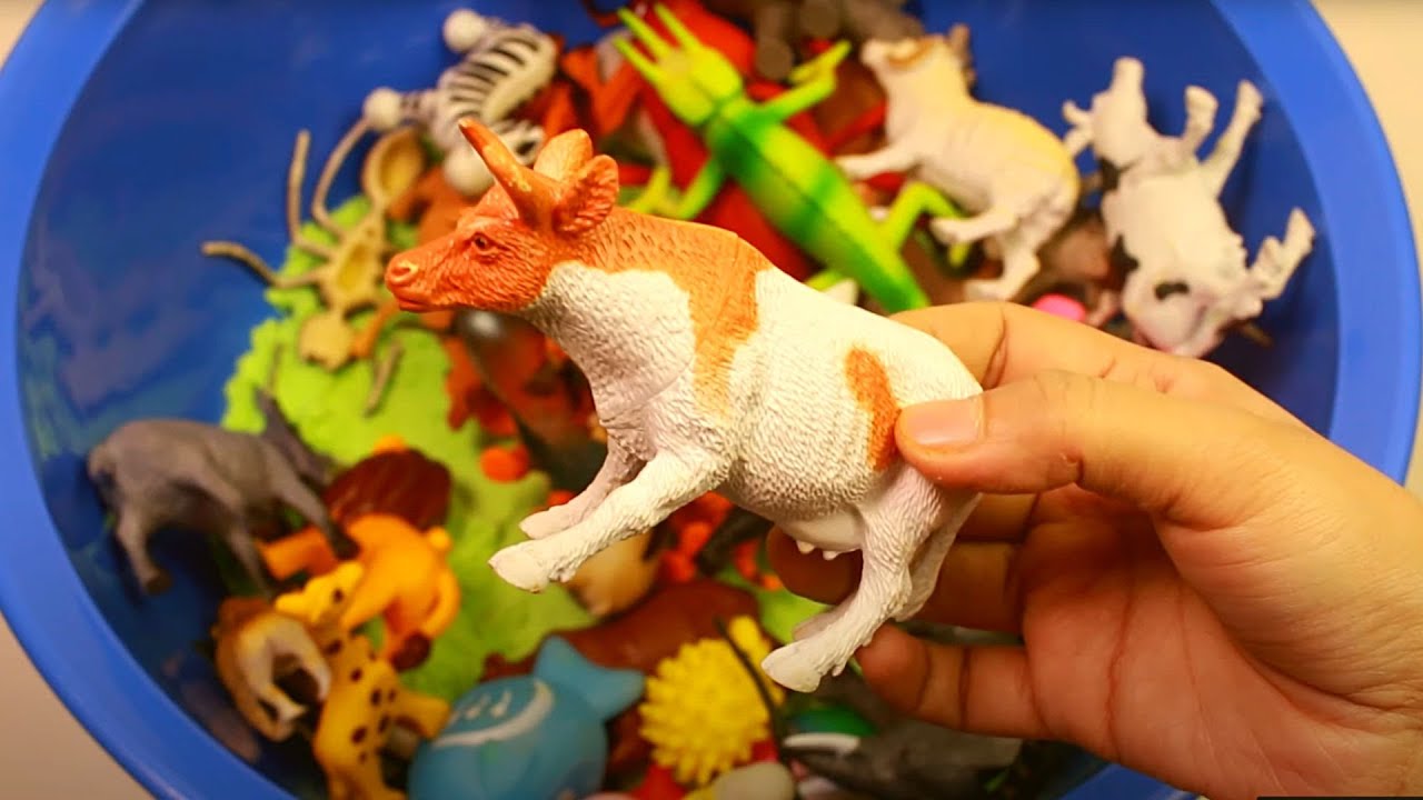 Learn Wild Zoo Animal Names and Sea Animals Names For Kids - YouTube