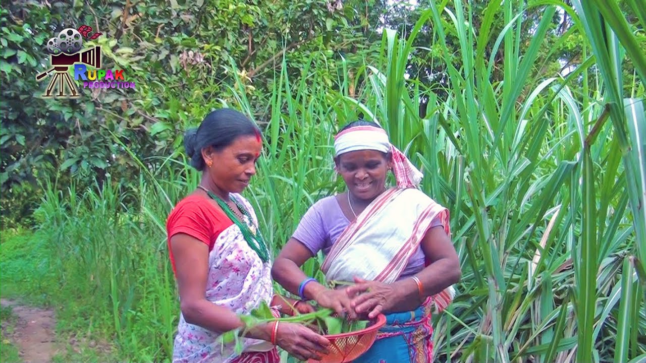 RURAL LIFE OF NEPALI COMMUNITY IN ASSAM, INDIA, Part - 279 ... - YouTube