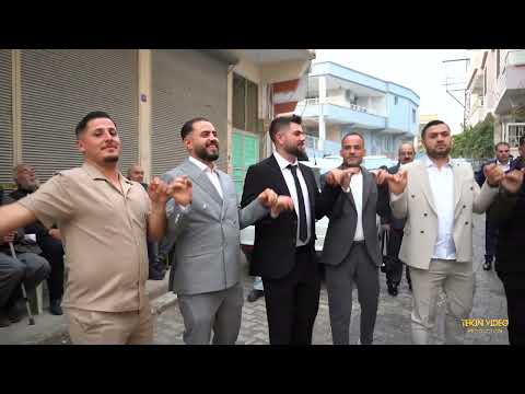 ALAKUŞ AİLESİ  -  AYRAN-KASABASI