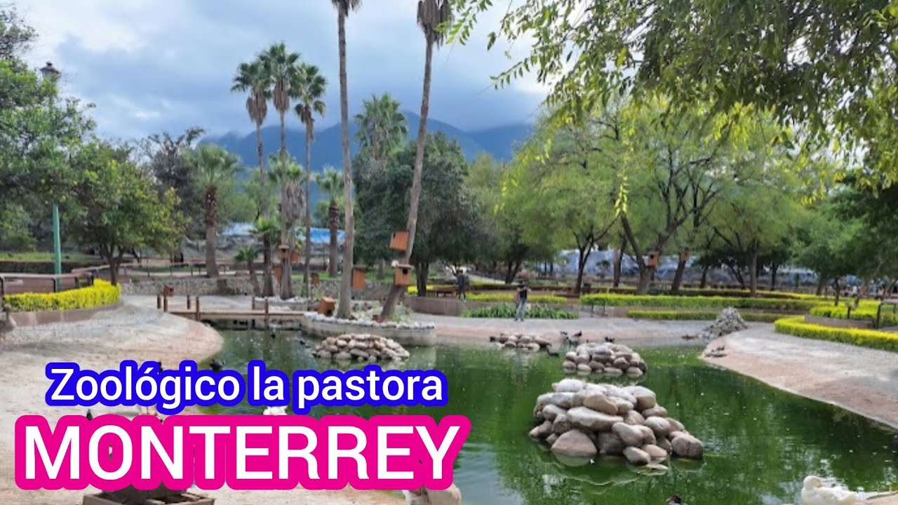 zoológico la pastora Monterrey 2022 | que hacer en Monterrey | lugares ...