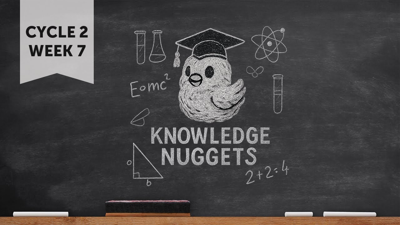 What are six forms of pollution? Cycle 2 Week 7 - YouTube