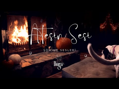 Şömine ve Odun Ateşi Sesleri 🔥