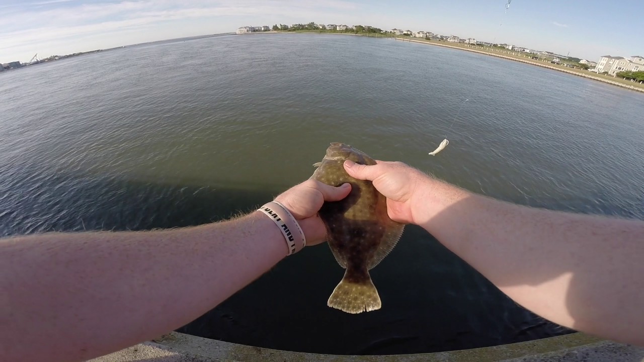 flounder fishing ocean city southside of 50 bridge - YouTube