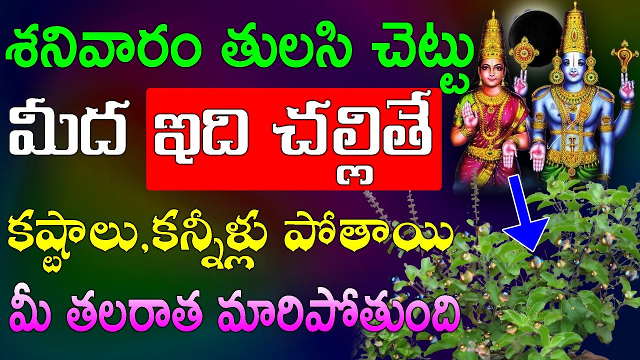 శనివారం తులసి చెట్టు మీద ఇది చల్లితే కష్టాలు,కన్నీళ్లు పోతాయి # ...