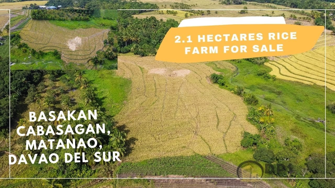 2.1 Hectares Land Rice Farm (Basakan), Cabasagan, Matanao Davao Del Sur ...