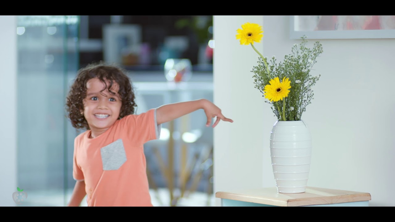 Anchor Pedia Pro 35s - YouTube