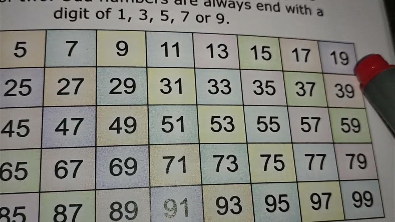Odd numbers 🔢 what are odd numbers 👍 Odd numbers 1-100 - YouTube