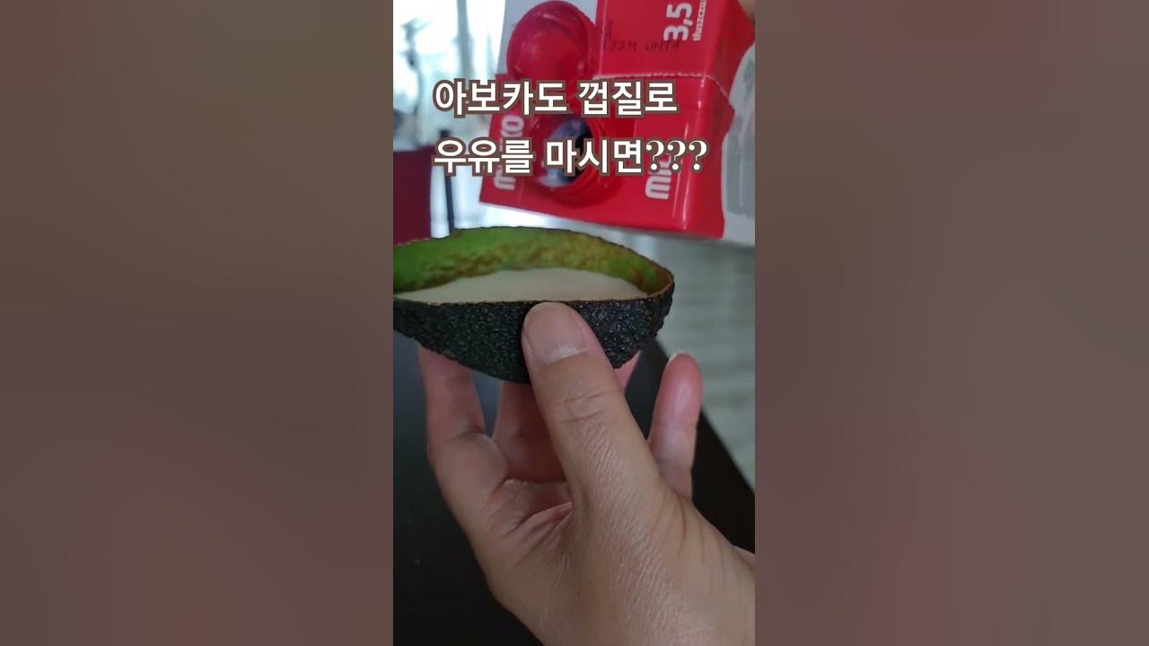 아보카도 껍질로 우유를 마셔봐요~ Shorts 놀자냥 Youtube