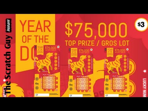 4 $3 Year Of The Dog Scratch Ticket | Its a Winner! - YouTube