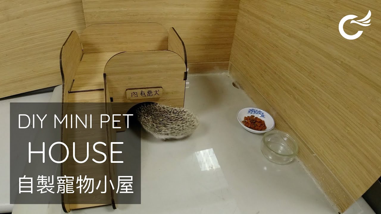 DIY Mini Pet House 自製寵物小屋 (DIY/Wood Working/Laser Cutting) - YouTube