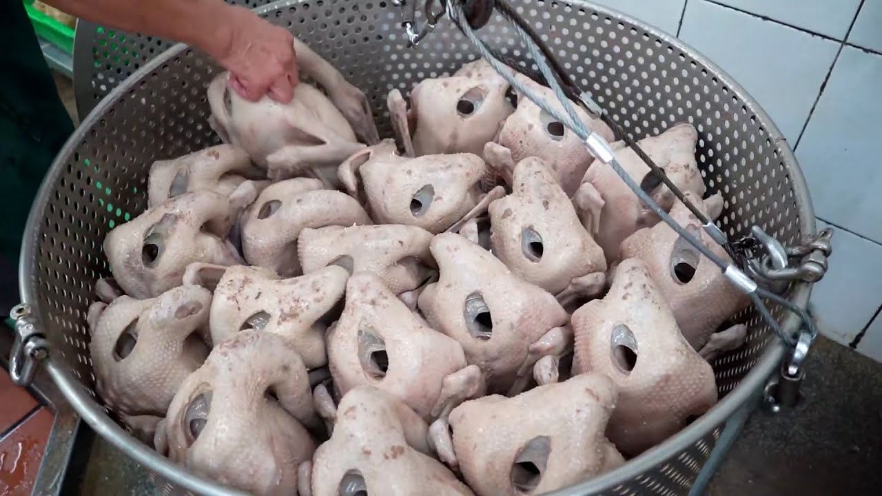 每日熱賣500隻鵝！嘉義最火的白斬鵝肉 / 500 geese sold daily - amazing boiled goose meat ...