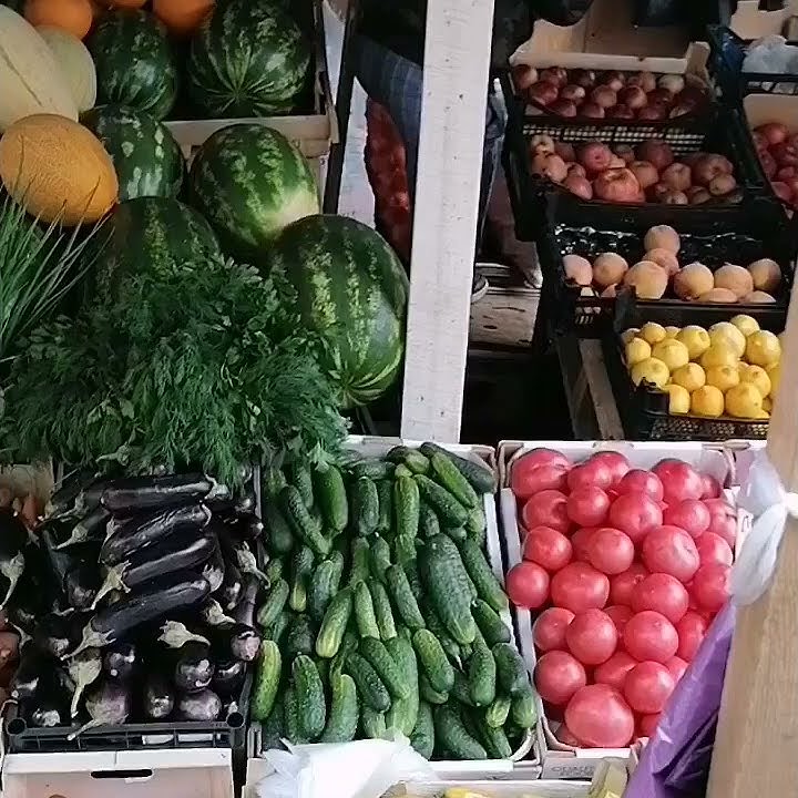Силикат Д. 30 г. Котельники самодельная торговая палатка, туалет ...