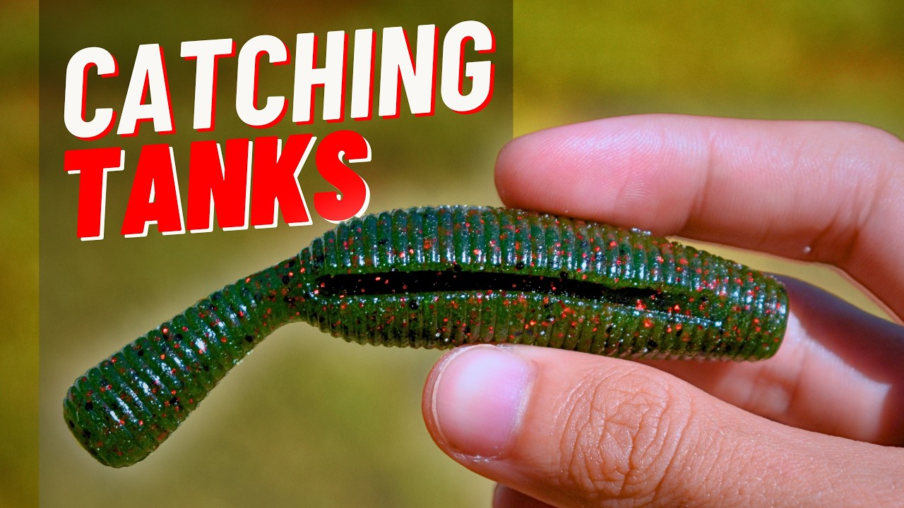 This Unique Bait Will Catch Fish When Nothing Else Can! - YouTube