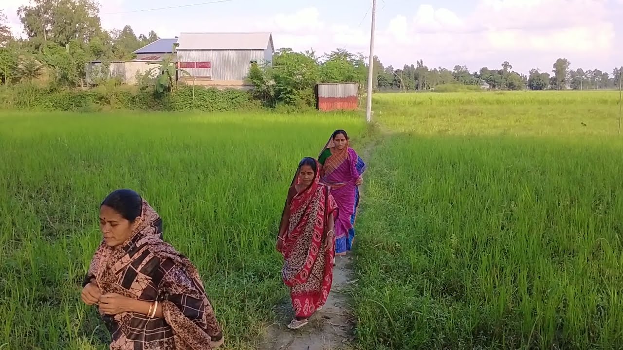 Bangladeshi Village Life Style Vlog | Our Simple Village Life | Village ...