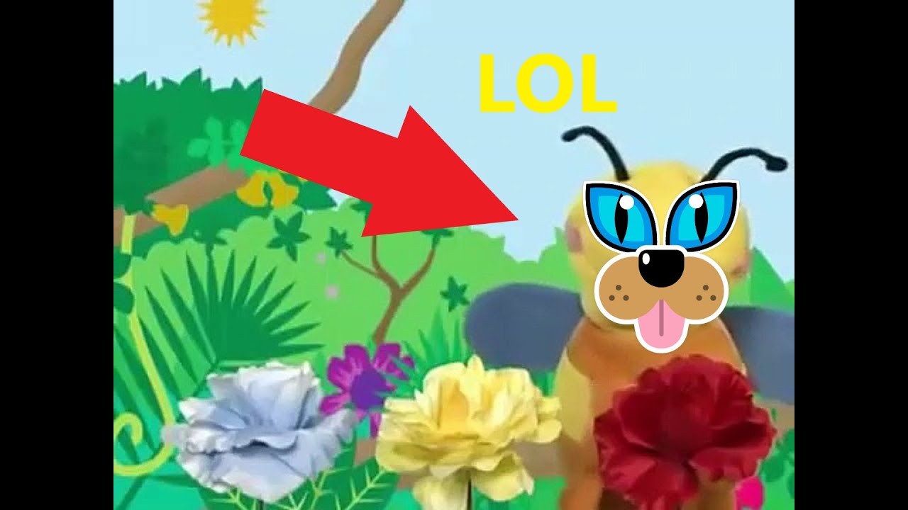 Baby Einstein First Sounds Baby Einstein My First Music Fun Keyboard