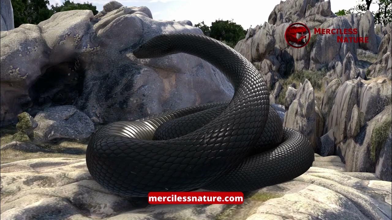 Titanaboa 3 – The Great Mountain Serpent – Epic Snake Vore - YouTube