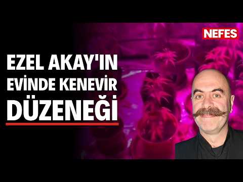 Uyuşturucudan gözaltına alınan Ezel Akay'ın kenevir tarlasına çevirdiği evinden şok görüntüler