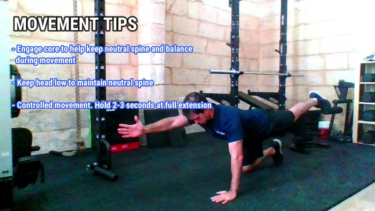 Alternating arm and leg extension - YouTube