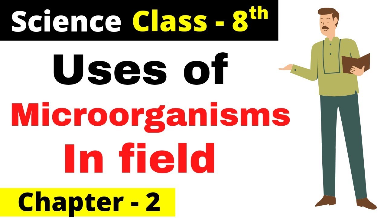 class 8 science chapter 2 microorganisms | part 7 | uses of ...