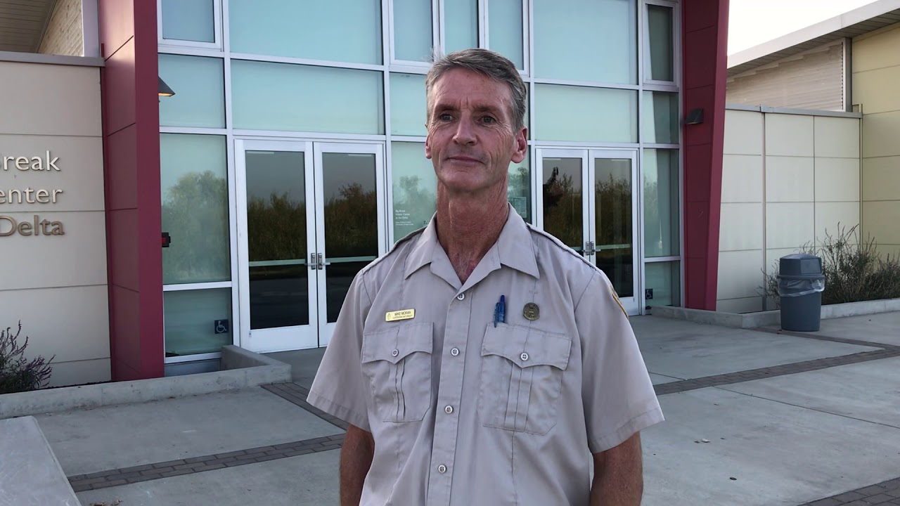 Mike Moran discusses the future of the Delta - YouTube