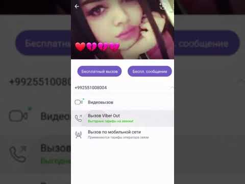 Кстеи бекадр