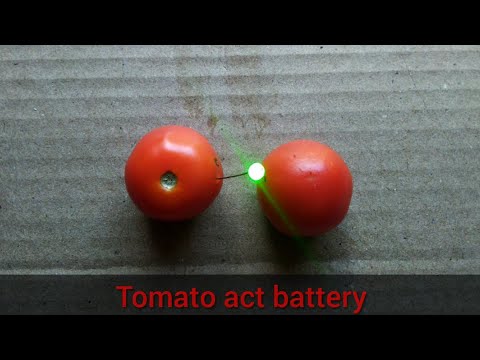 Tomato act battery Experiment at home -Make a Tomato battery - YouTube