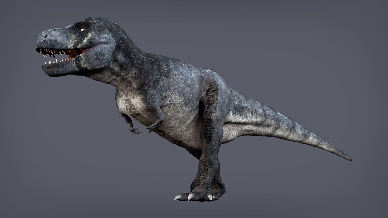 Tyrannosaurus rex Walk Cycle - YouTube