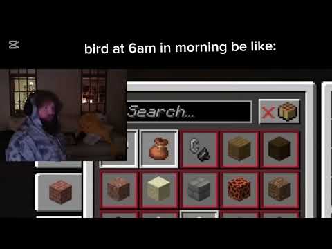 Bird at 6am be like, #caseoh #meme - YouTube